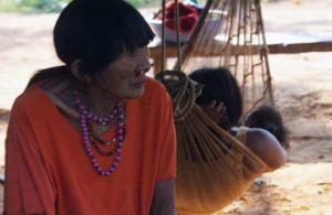 ¿Conoces A Los Pacahuara? Aprendelo Aquí