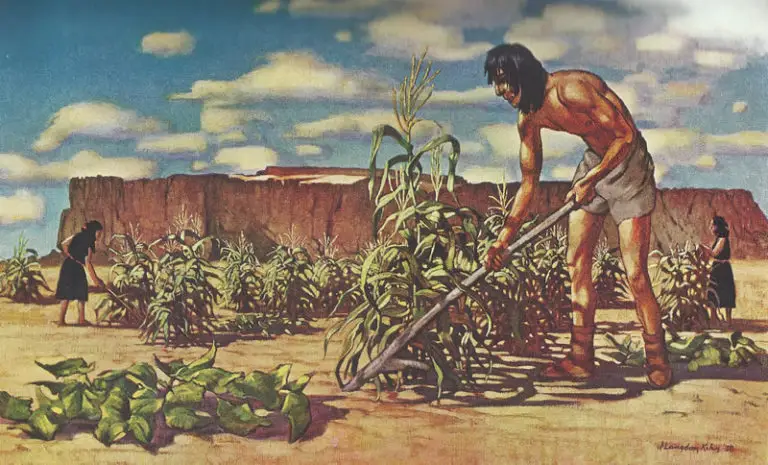 Piaroa: Historia, ubicación, cultura, costumbre y mucho mas