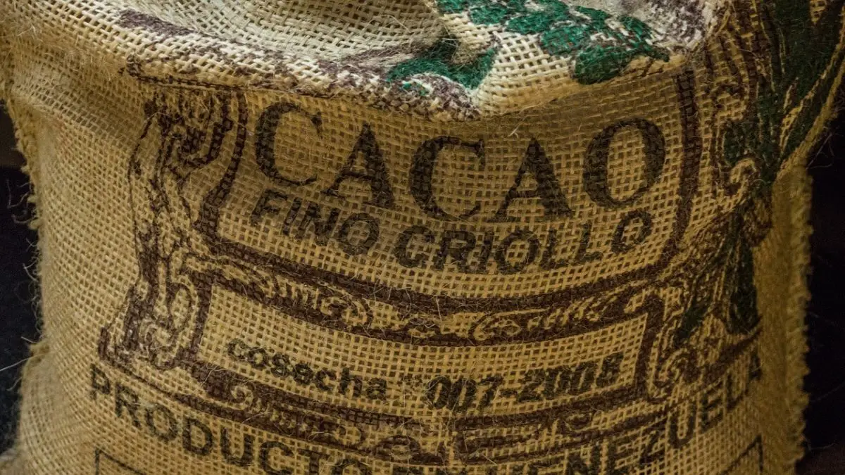 Piaroa: Historia, ubicación, cultura, costumbre y mucho mas