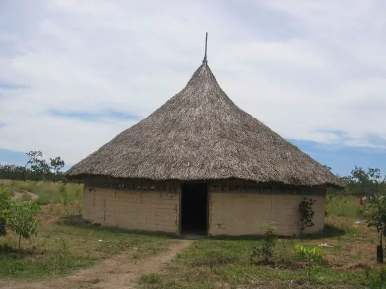 Piaroa: Historia, ubicación, cultura, costumbre y mucho mas