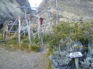 Puelches: Ubicación, características, costumbres y mucho mas