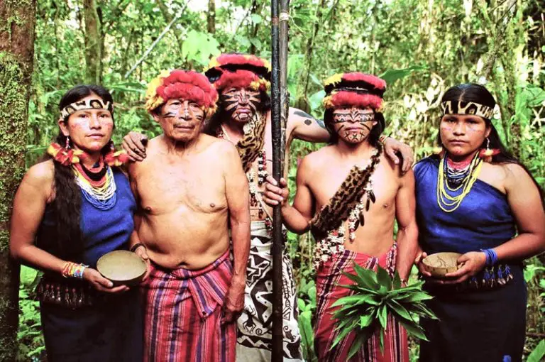 Secoya: Significado, Lenguaje, Costumbre y Mucho Mas