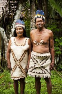 Ticuna: Historia, cultura, Comunidad, lengua y mucho más