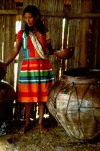 Ticunas: Que es, significado, ubicación y mucho mas