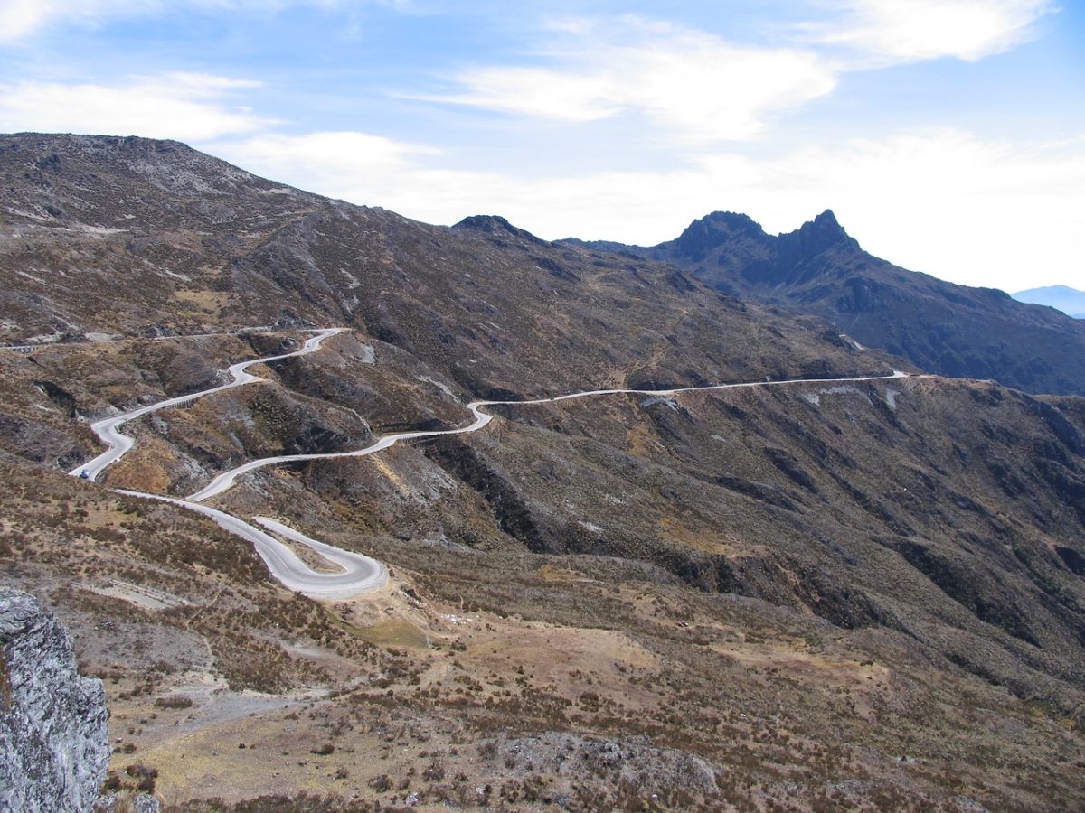 Timotocuicas: Historia, Origen, historia, ubicación y mucho mas