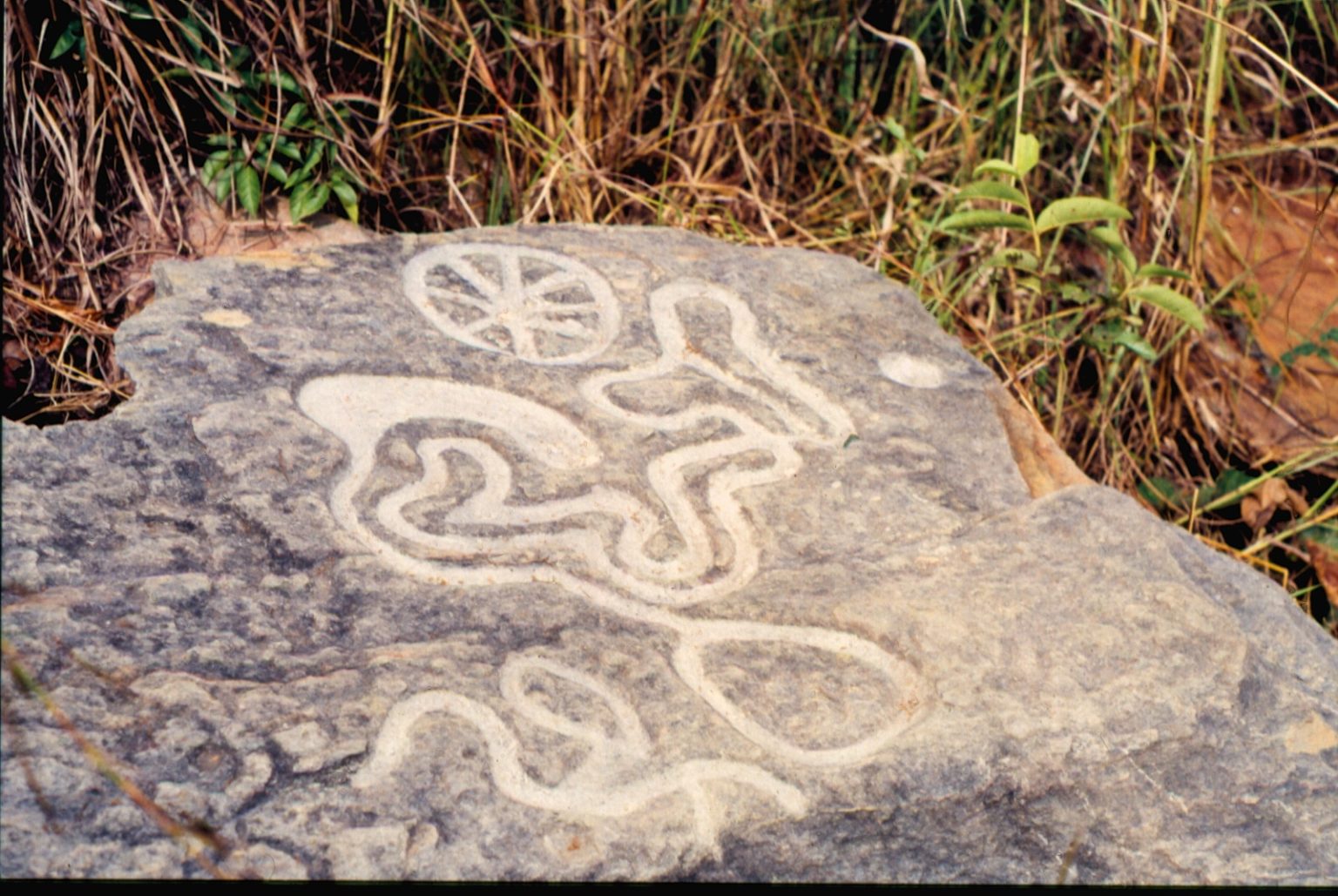 Timotocuicas: Historia, Origen, historia, ubicación y mucho mas