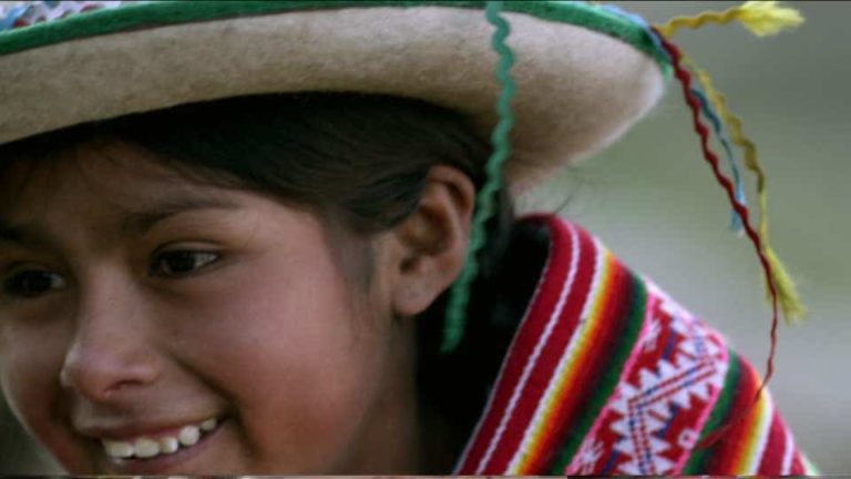 Aprende Todo Sobre Los Toromona y mucho mas de ellos