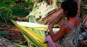 Warao: Historia, Cultura, lengua, costumbre y mucho mas