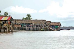 Warao: Historia, Cultura, lengua, costumbre y mucho mas