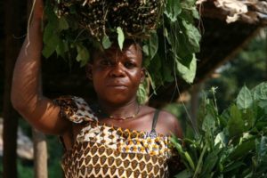 ¿Conoces a los mbuti? Aprende todo sobre ellos aquí