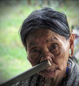 Aprende todo Sobre los penan y mucho mas de ellos