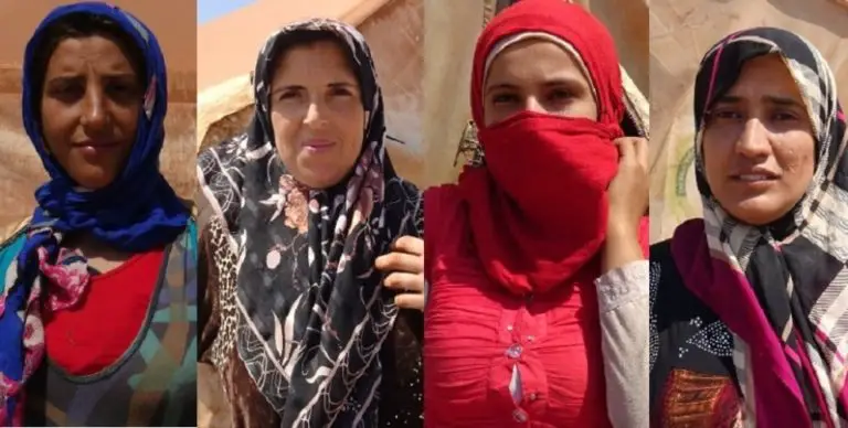 Turcos: Historia, Definición, Significado y Mucho mas