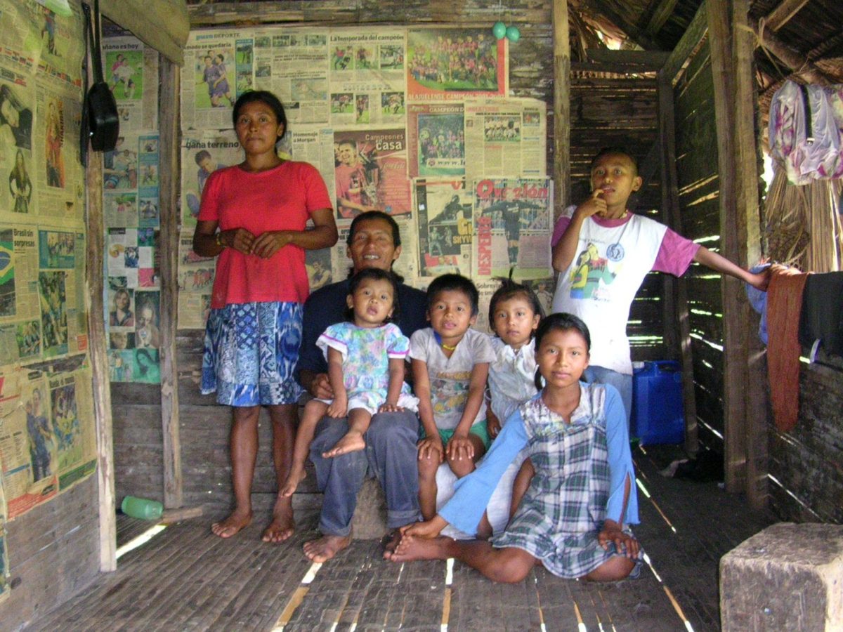 Bri bri, descubre todo sobre ellos características, ubicación y más