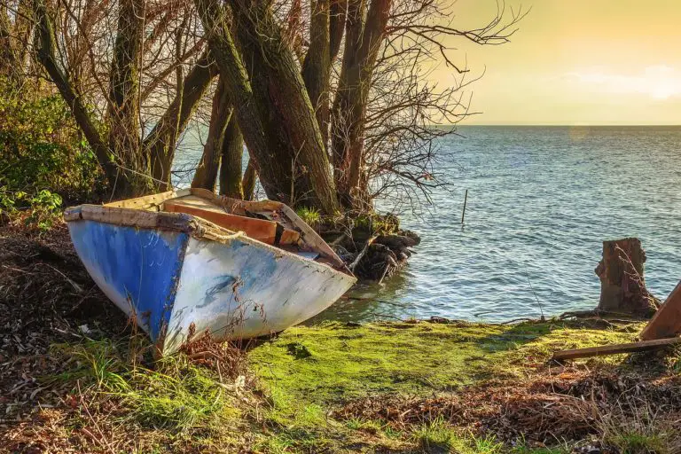 Magiares aprende todo sobre esta cultura, su historia y mucho más