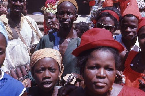 ¿Conoces a los limba? Descubre todo sobre ellos aquí