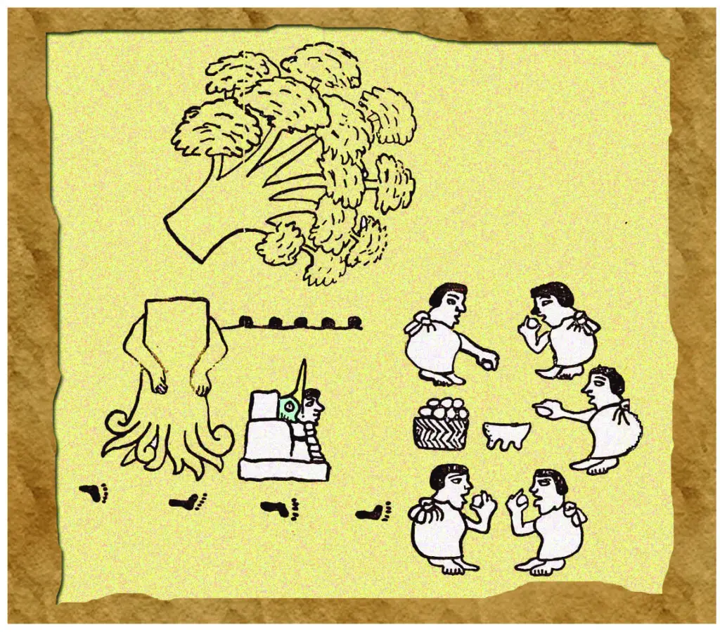 CONOCE LOS CÓDICES AZTECAS: MENSAJES, SIGNIFICADOS Y MÁS