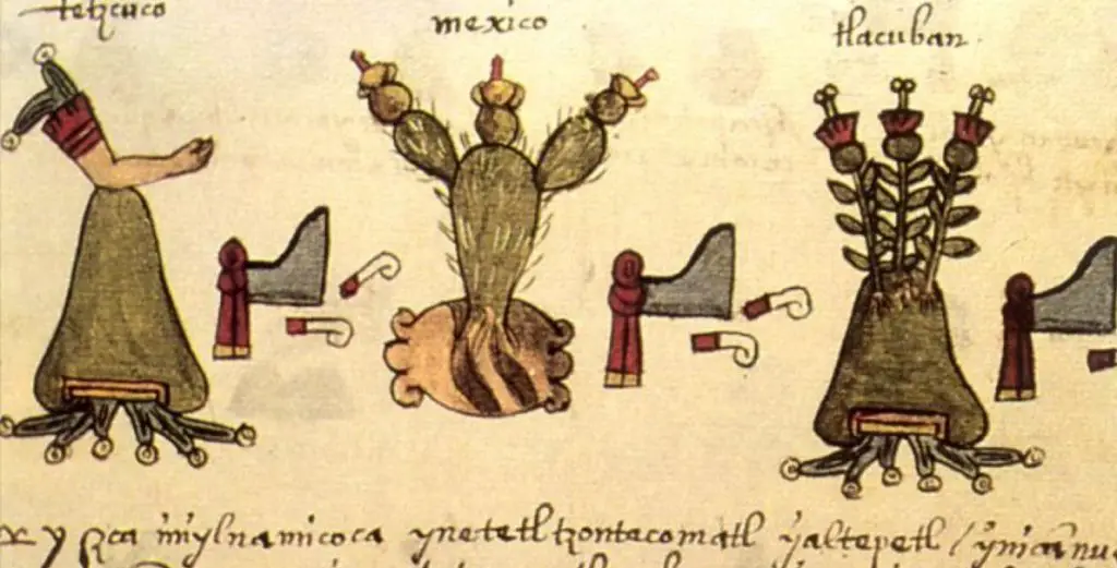 CONOCE LOS CÓDICES AZTECAS: MENSAJES, SIGNIFICADOS Y MÁS