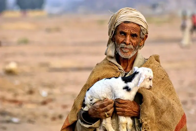 BEDUINOS: LA CULTURA DE LOS MORADORES DEL DESIERTO