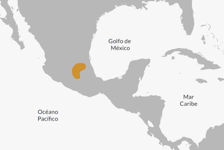 CULTURA TOLTECA, UNA CIVILIZACIÓN DE MESOAMÉRICA