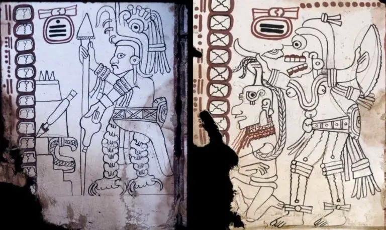 LOS CÓDICES MAYAS: TODO LO QUE TIENES QUE SABER DE ELLOS